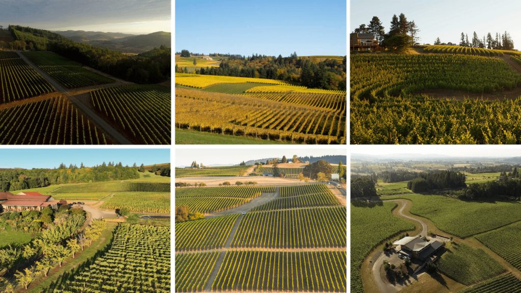 WILLAMETTE VALLEY AVAS - Cristom Vineyards